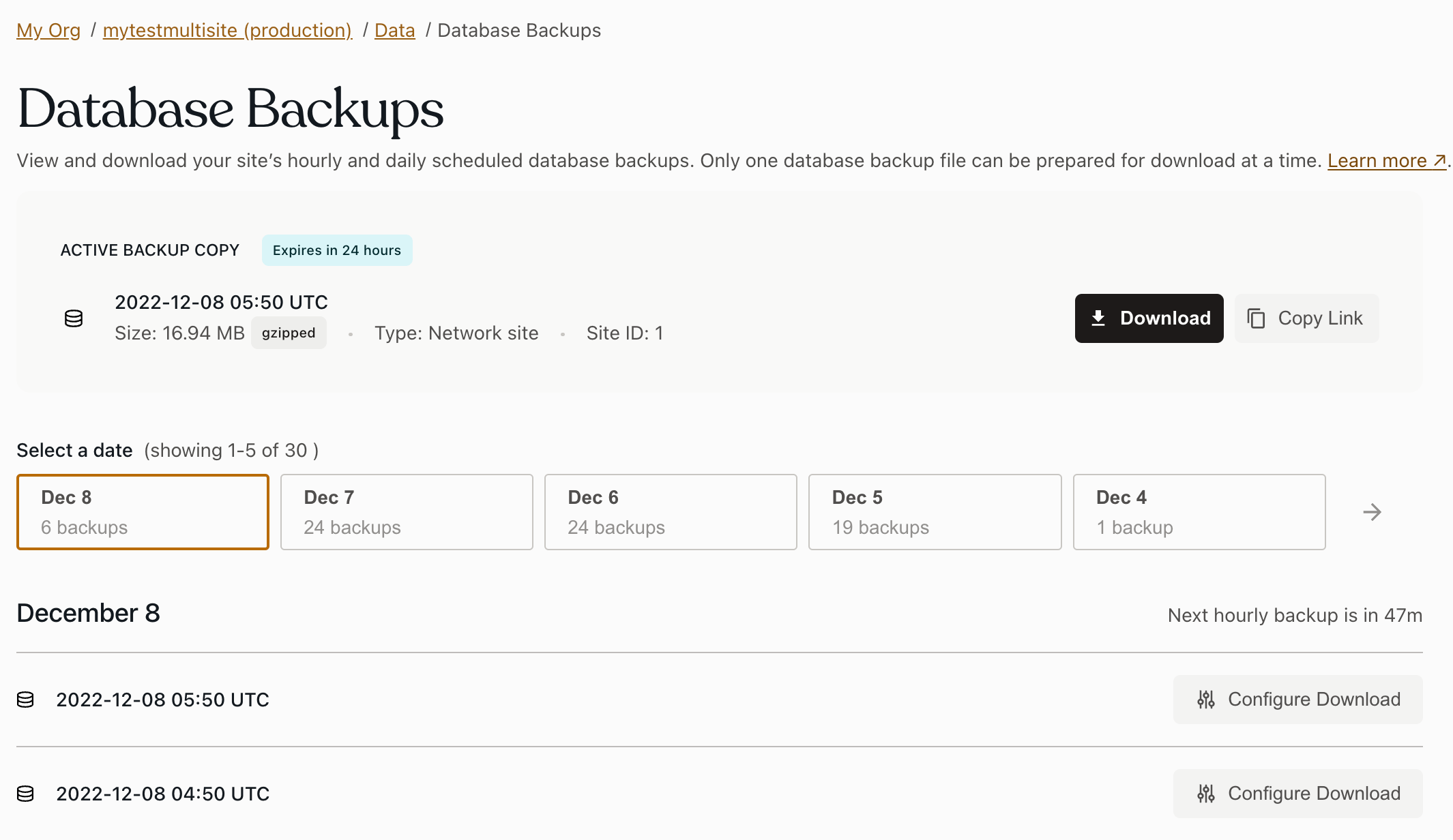 Copy a link to a prepared database backup · WordPress VIP Documentation